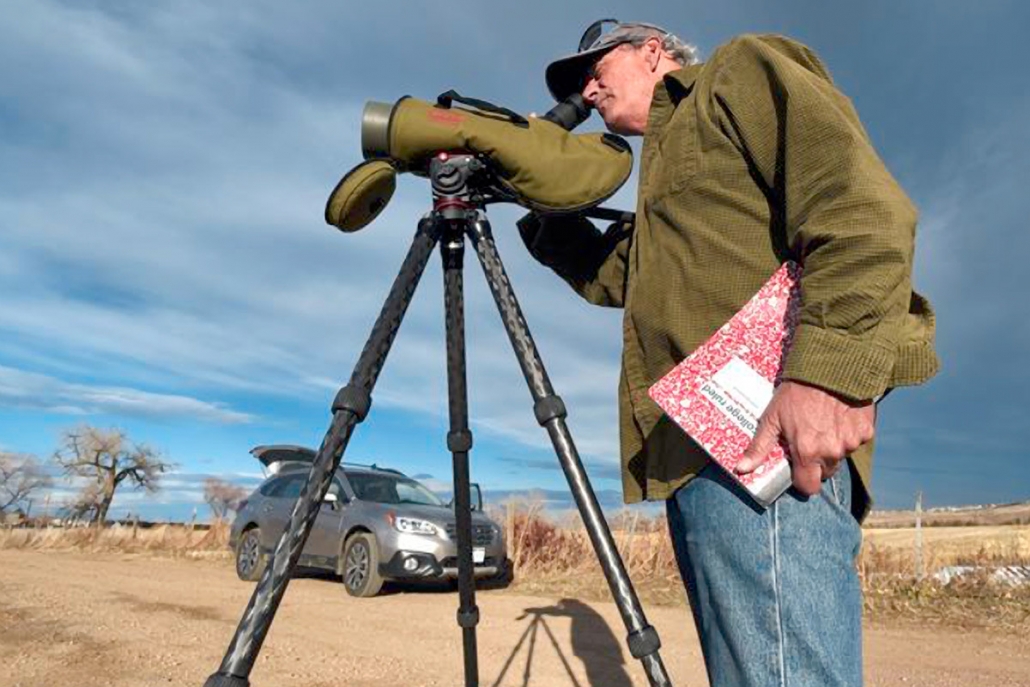 Front Range Nesting Bald Eagles Studies