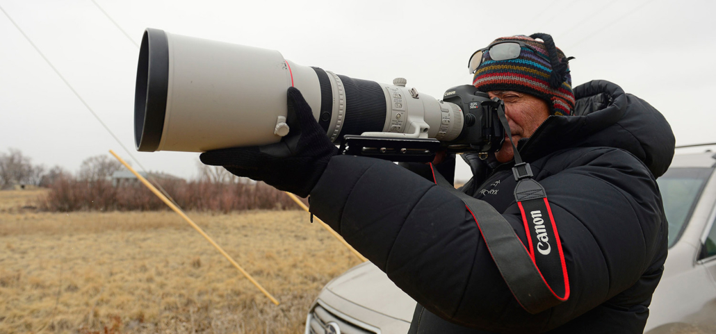 Monitoring Bald Eagles in the Colorado Front Range